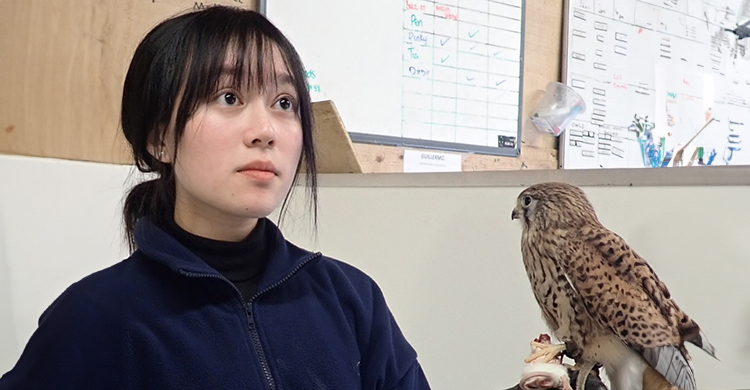 The Kumon Method and its strengths - Kumon.co.uk